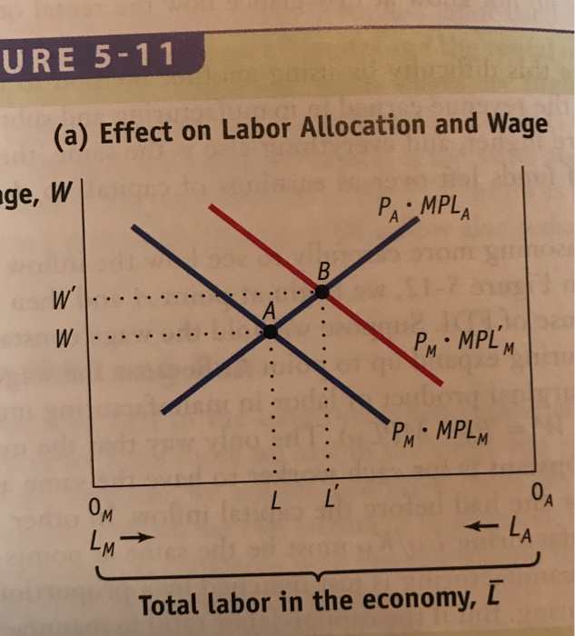 Solved In the short-run specific-factors model consider a | Chegg.com