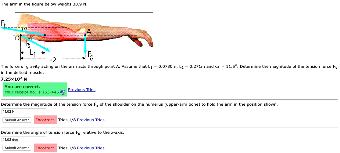 Solved The arm in the figure below weighs 38.9 N. O" L2 The | Chegg.com