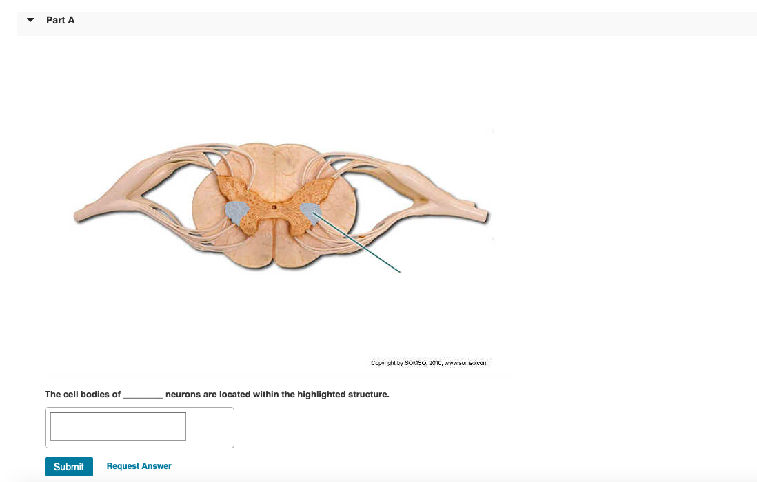 Solved Part A Copyright by SOMASO 2010, www.somso.com The | Chegg.com