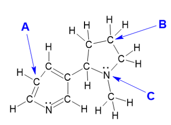 Solved The nicotine molecule is shown below. Indicate the | Chegg.com