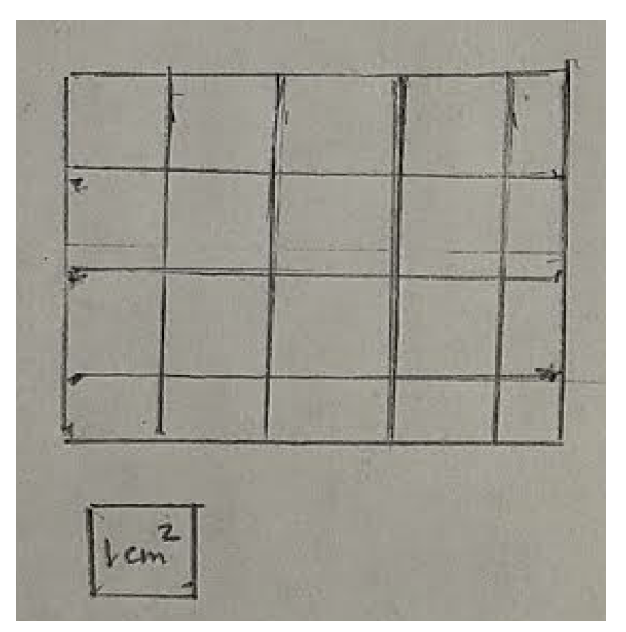 Solved Explain how to decompose the large rectangle into | Chegg.com