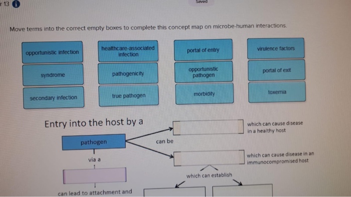 Solved r 13 6 Move terms into the correct empty boxes to | Chegg.com