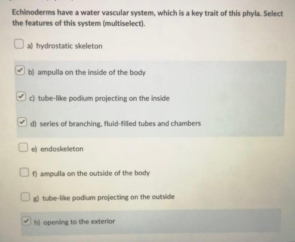 Solved Echinoderms have a water vascular system, which is a | Chegg.com