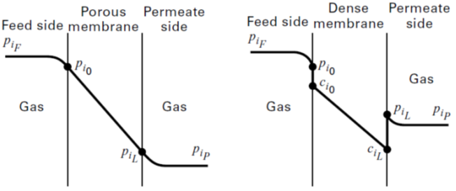Solved (a) ﻿ Describe the partial pressure profiles for gas | Chegg.com
