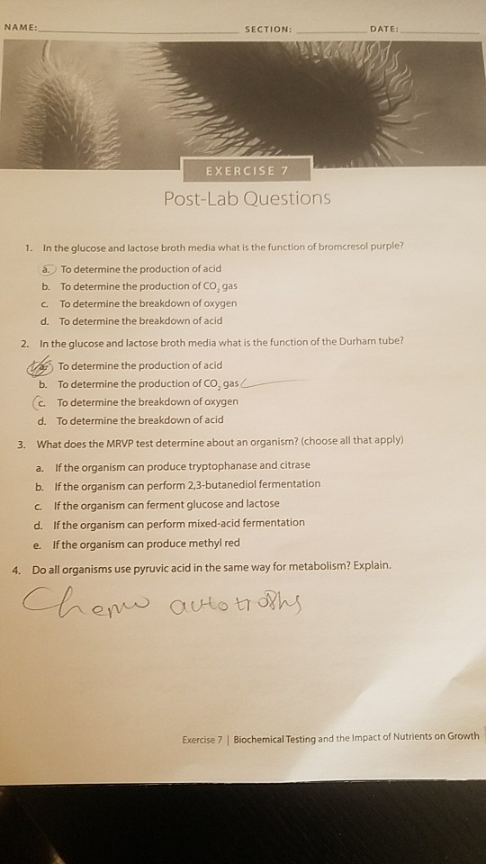 Solved NAME: SECTION DATE: EXERCISE 7 Post-Lab Questions In | Chegg.com