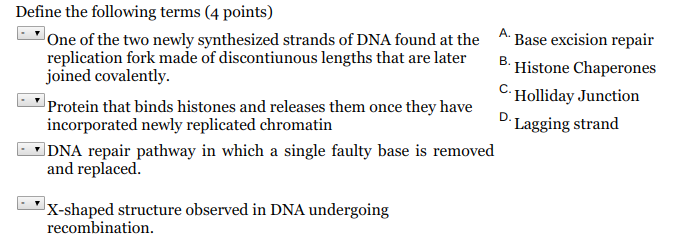 Solved The maternal and paternal pairs of chromosomes The | Chegg.com