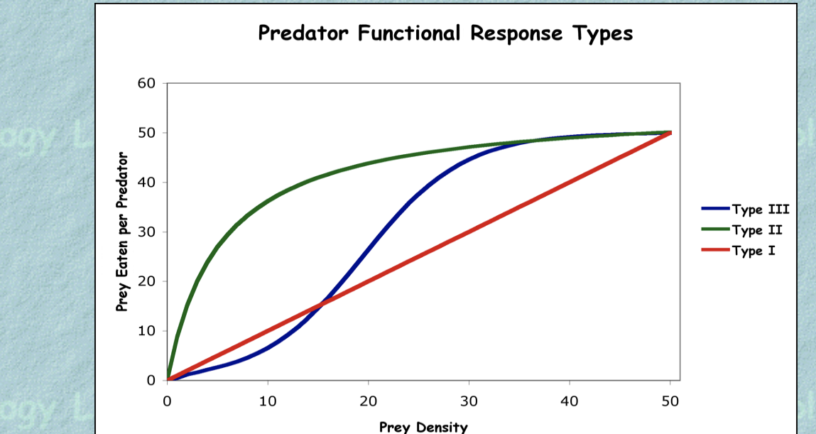 Solved Functional Response Of Predators To Prey