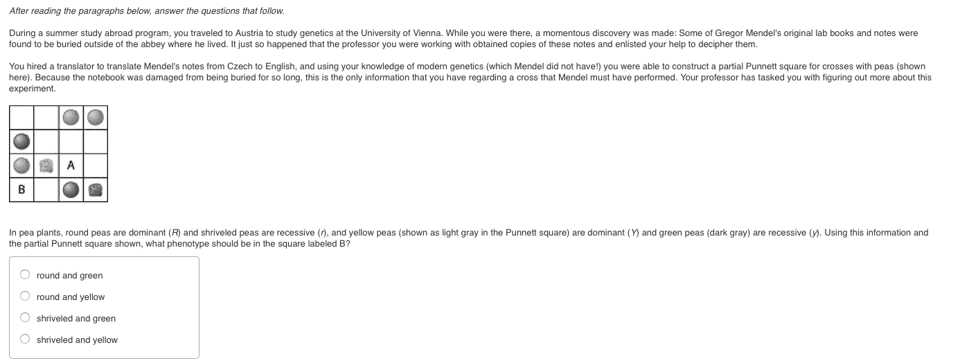 Solved After reading the paragraphs below, answer the | Chegg.com