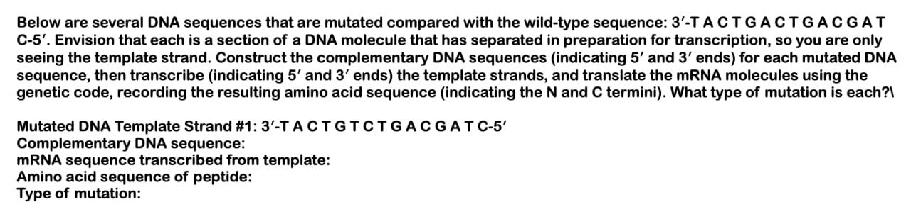 Solved Below are several DNA sequences that are mutated | Chegg.com
