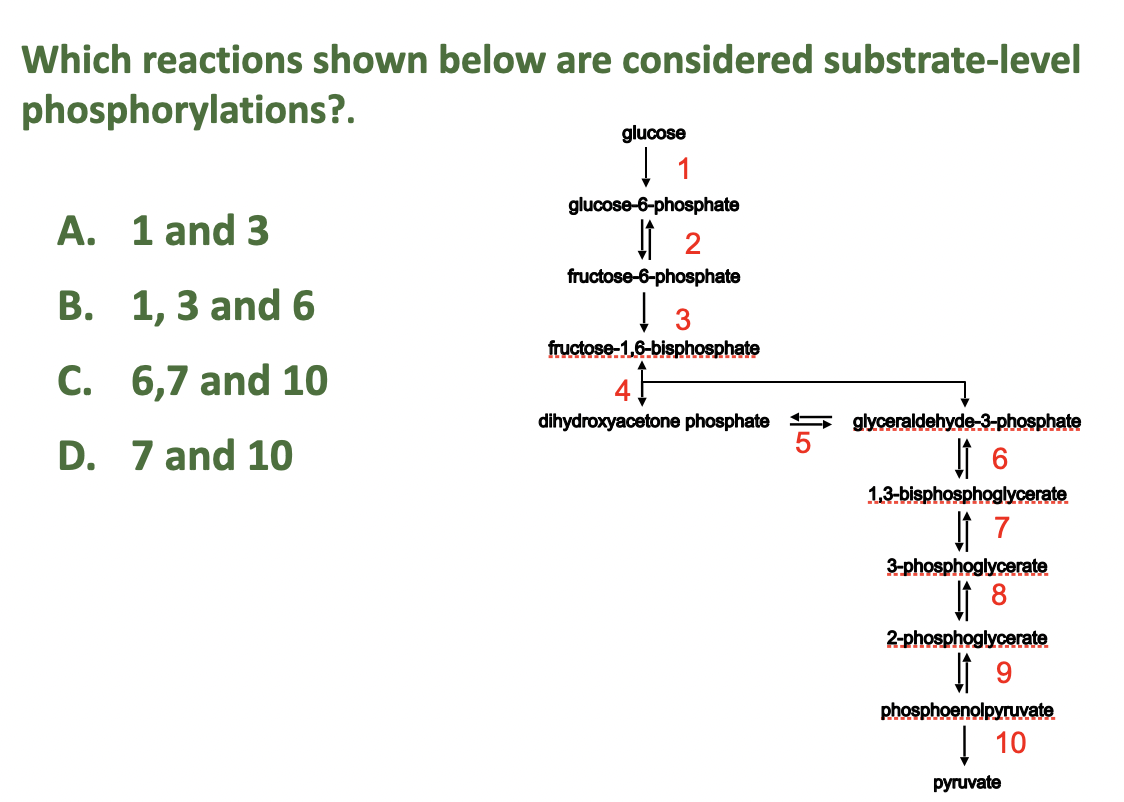 Solved Which reactions shown below are considered | Chegg.com
