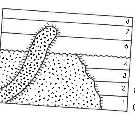 Solved Organizing a Sequence of Geological Events For the | Chegg.com
