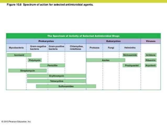 Solved Which of the above antimicrobial drugs is a broad | Chegg.com