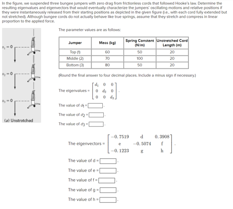 Solved In the figure, we suspended three bungee jumpers with | Chegg.com