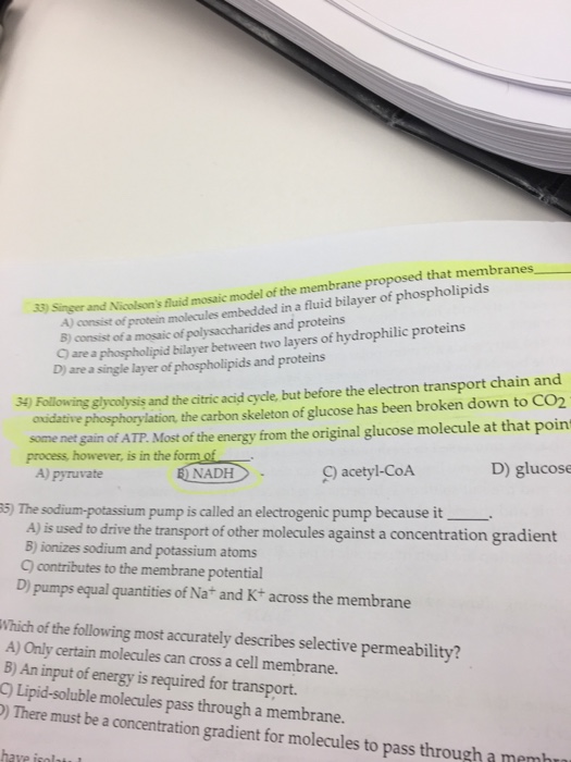 Solved Singer and Nicolson's fluid mosaic model of the | Chegg.com