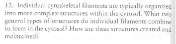 Solved 12. Individual cytoskeletal filaments are typically | Chegg.com