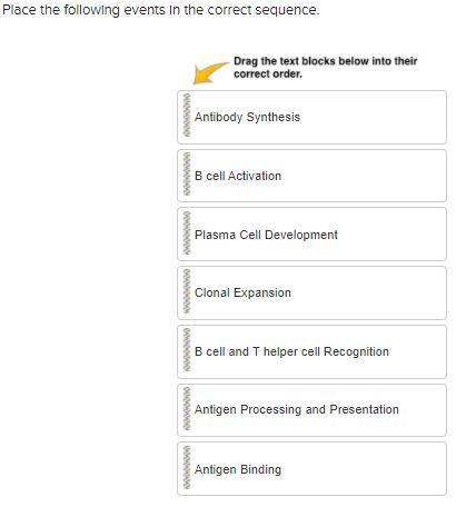 Solved Place the following events in the correct sequence. | Chegg.com