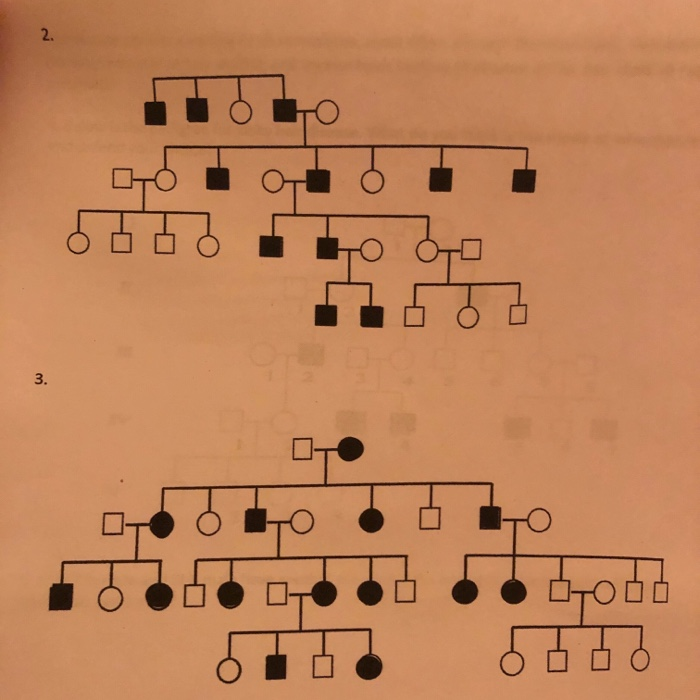 Solved Ouestions 1-3: Work through the following three | Chegg.com