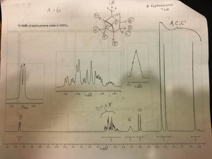 Solved PLEASE HELP!! I would very much appreciate it if you | Chegg.com