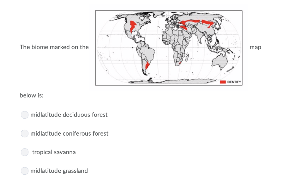 Coniferous Forest Map