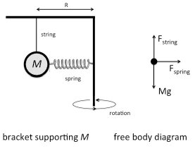 Solved string string Tension mg MHWA spring spring Mg | Chegg.com