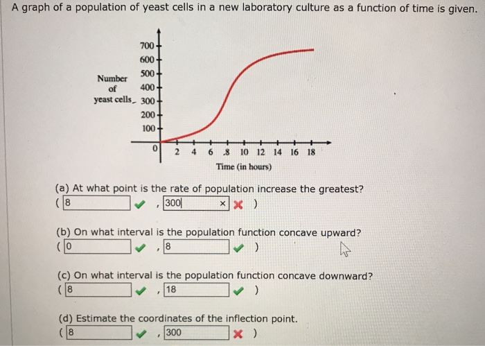 A Graph of a Population of Yeast Cells