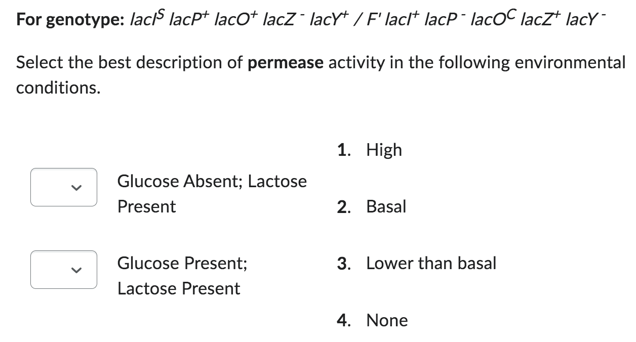 Solved For genotype: laclS lacP+ lacO+ lacZ¯ lacY+/F' lacl* | Chegg.com