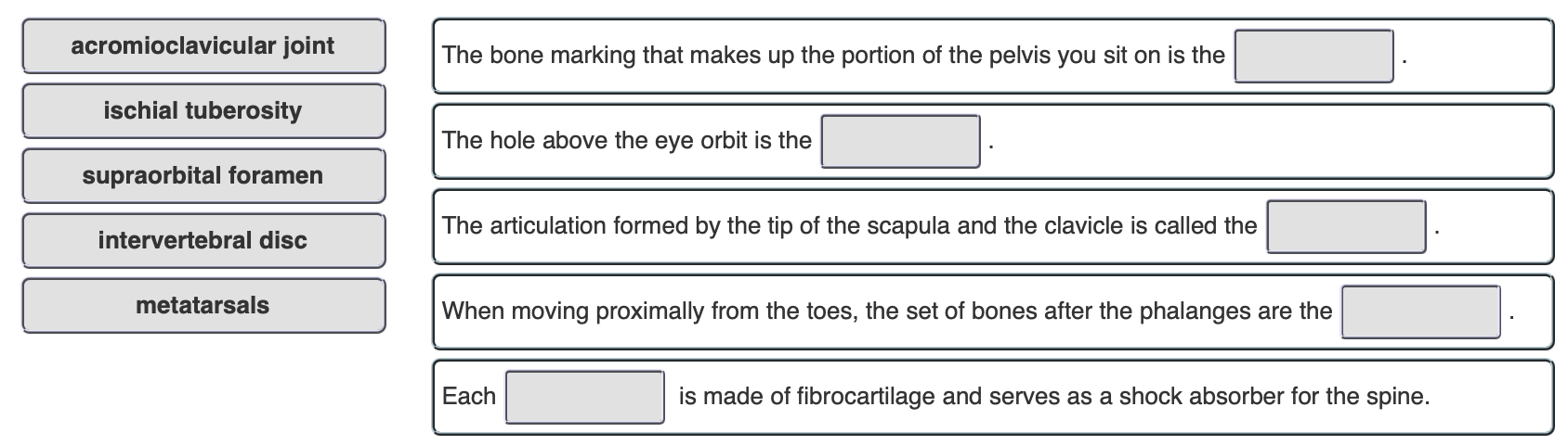 Solved supra- The prefix means ischium or hip joint. acro- | Chegg.com