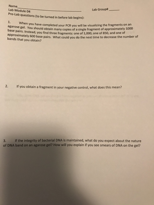 Solved Name Lab Module 04 Pre-Lab questions (to be turned in | Chegg.com