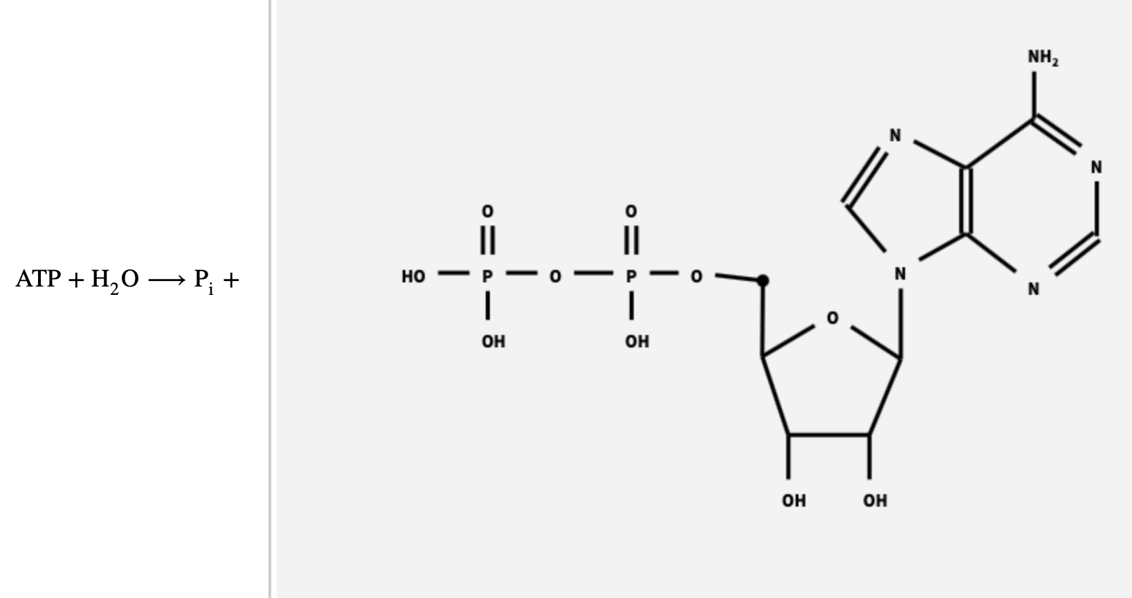 Solved Modify adenosine triphosphate (ATP) to give the | Chegg.com