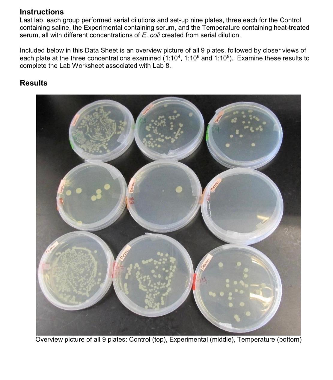 Solved Instructions Last lab, each group performed serial | Chegg.com