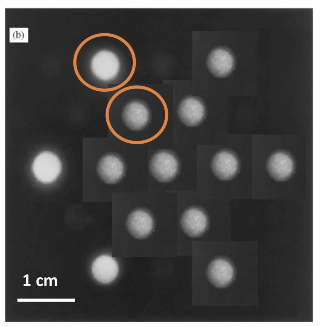 Solved The camera constant of a TEM at 200 kV is 30 mm·Å. | Chegg.com