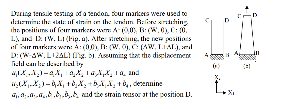 Solved During tensile testing of a tendon, four markers were | Chegg.com