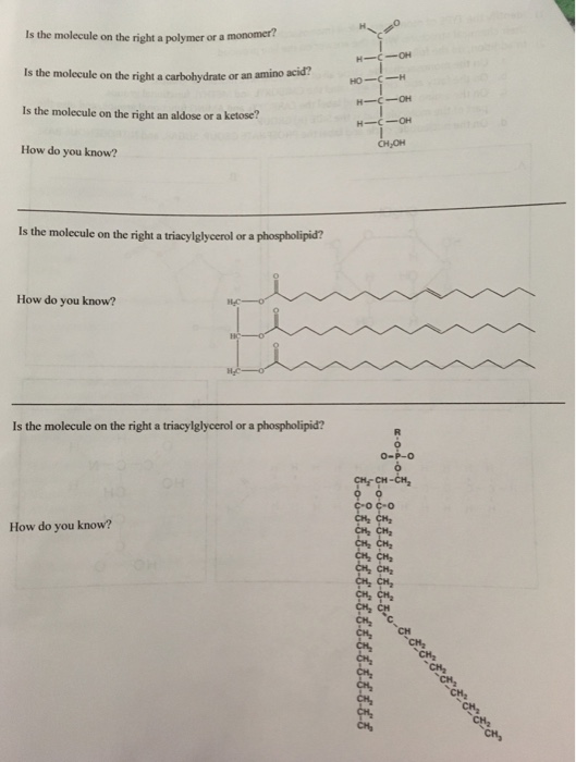 Solved ) In adition dl structure. Write toaride,fatty acid, | Chegg.com