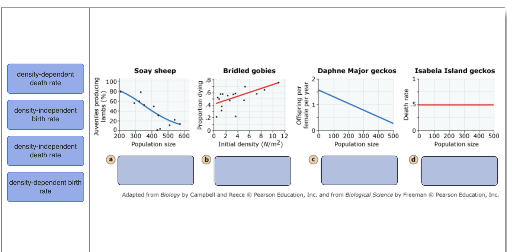 Solved density-dependentdeath ratedensity-independentbirth | Chegg.com