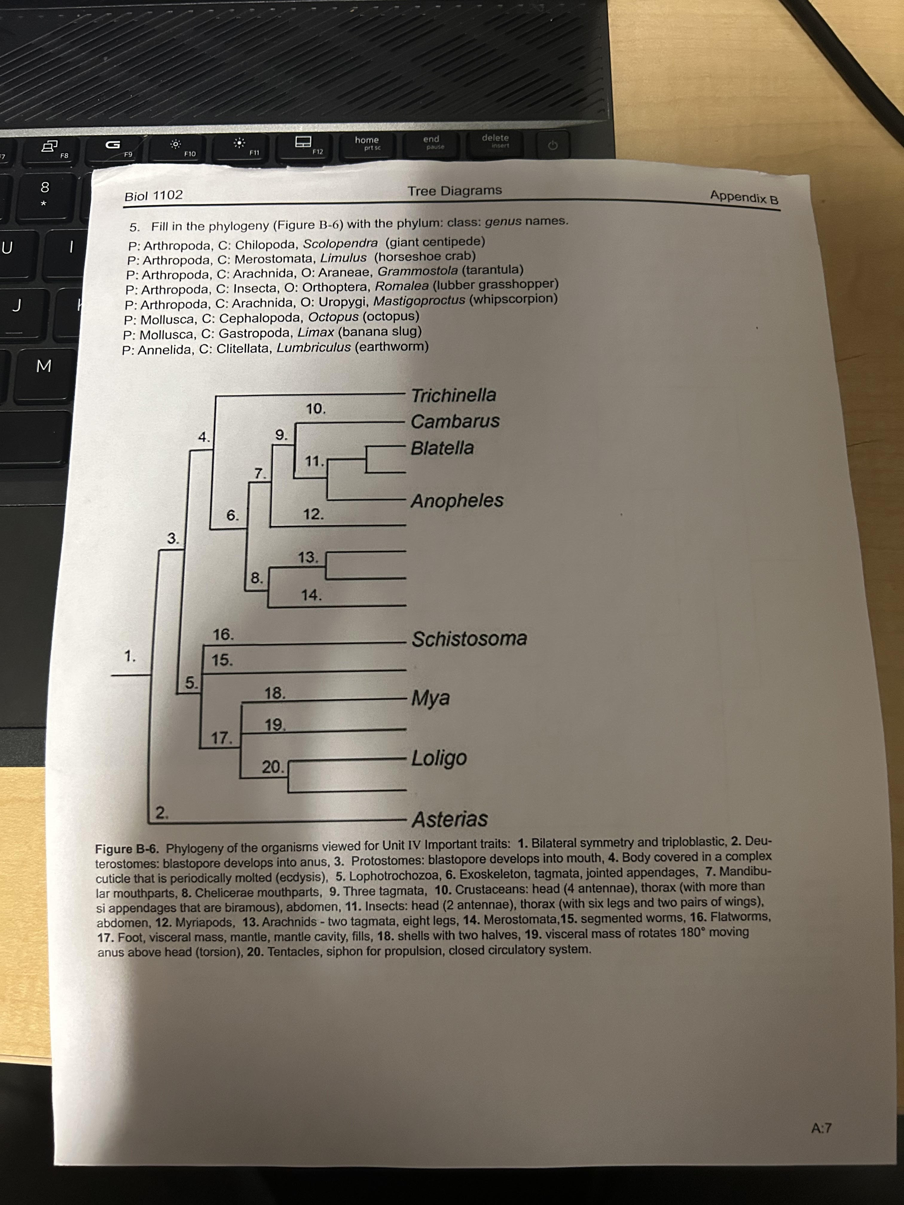 Solved Having Trouble filling this out? Question 5 | Chegg.com