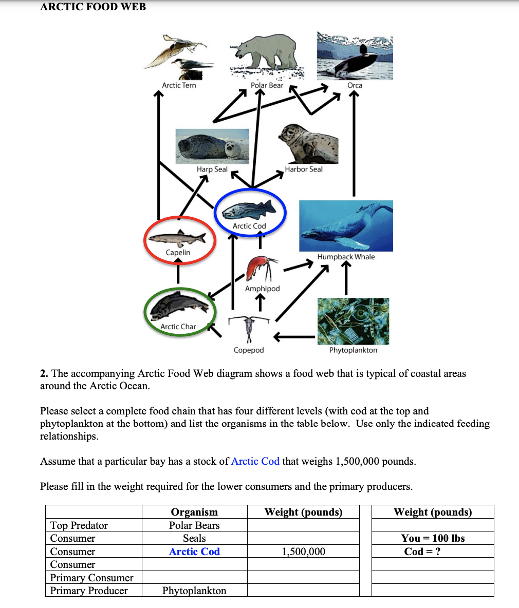 Solved ARCTIC FOOD WEB 2. The accompanying Arctic Food Web | Chegg.com
