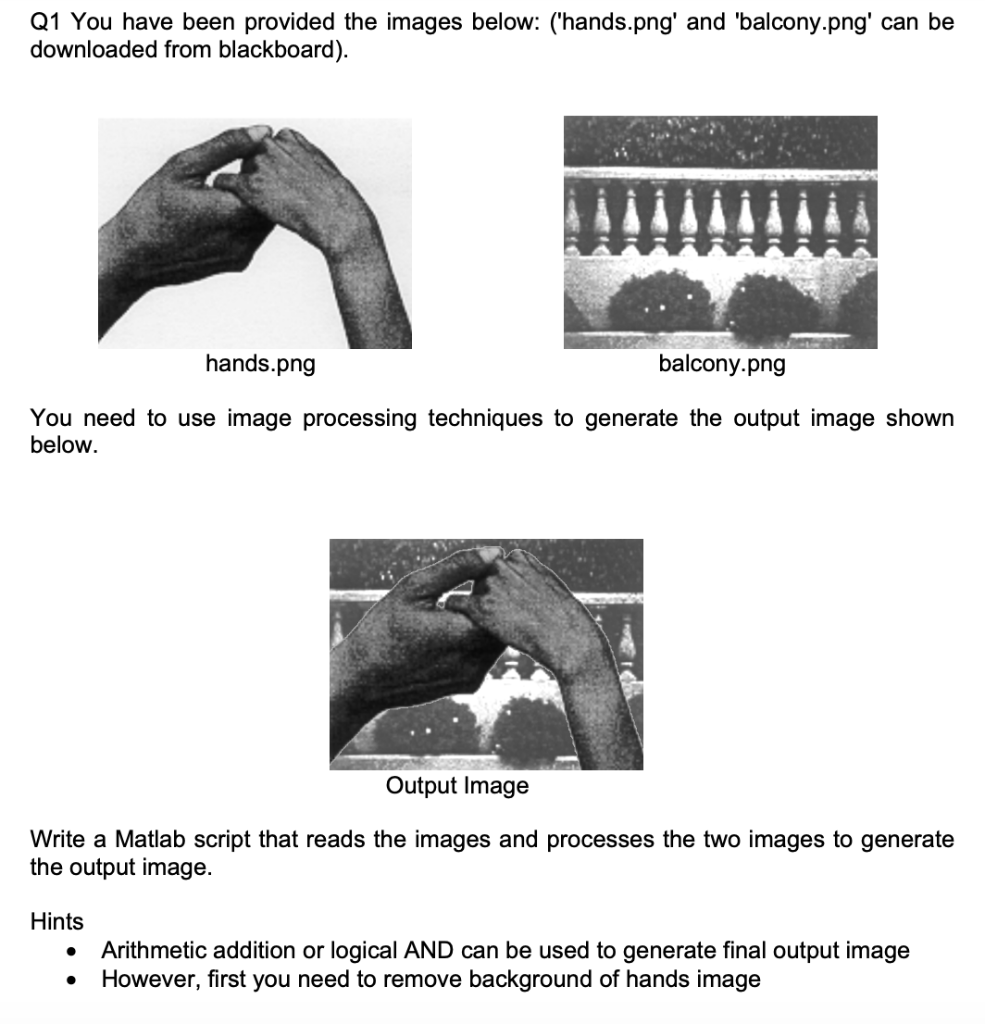 Solved MATLAB: How to remove the background from the | Chegg.com