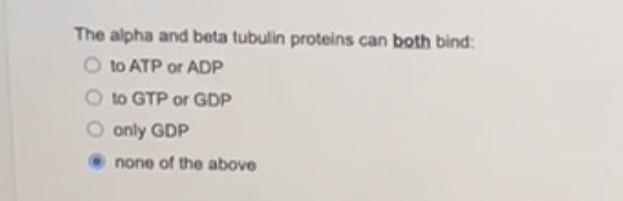 Solved The alpha and beta tubulin proteins can both bind: to | Chegg.com