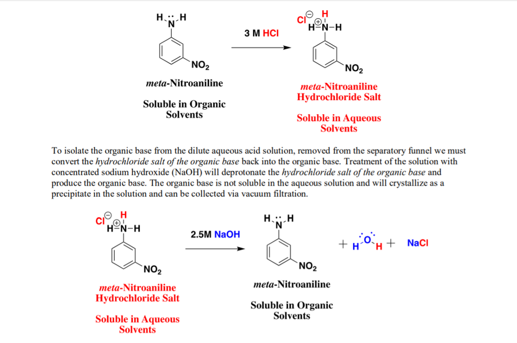 Solved H 2.5M NaOH Benzoic Acid Benzoic Acid Sodium Salt | Chegg.com