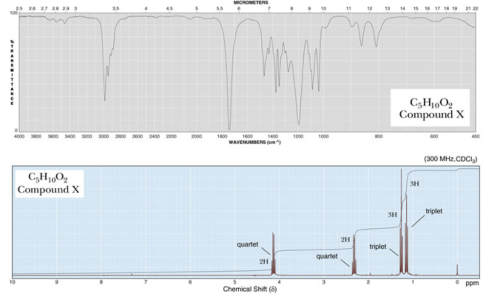 C5h10o2 Ir Spectrum