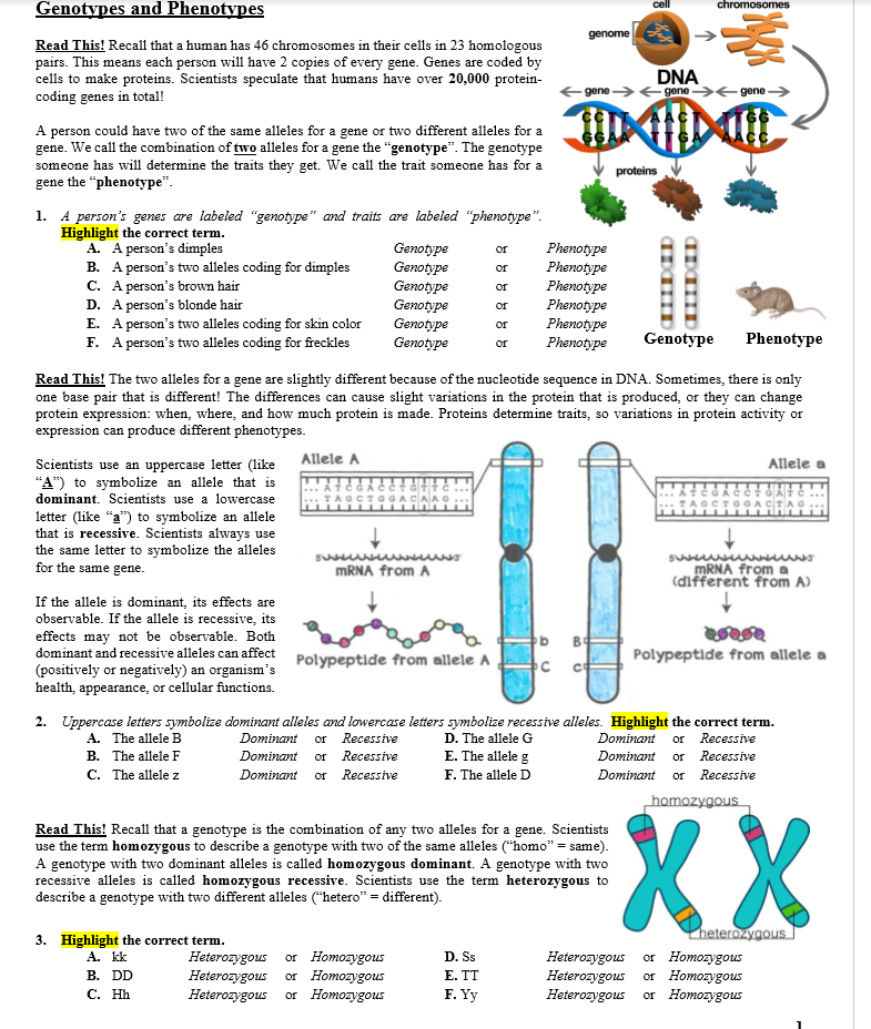 Solved cell chromosomes or or or DIIDID TUTTID or or or | Chegg.com