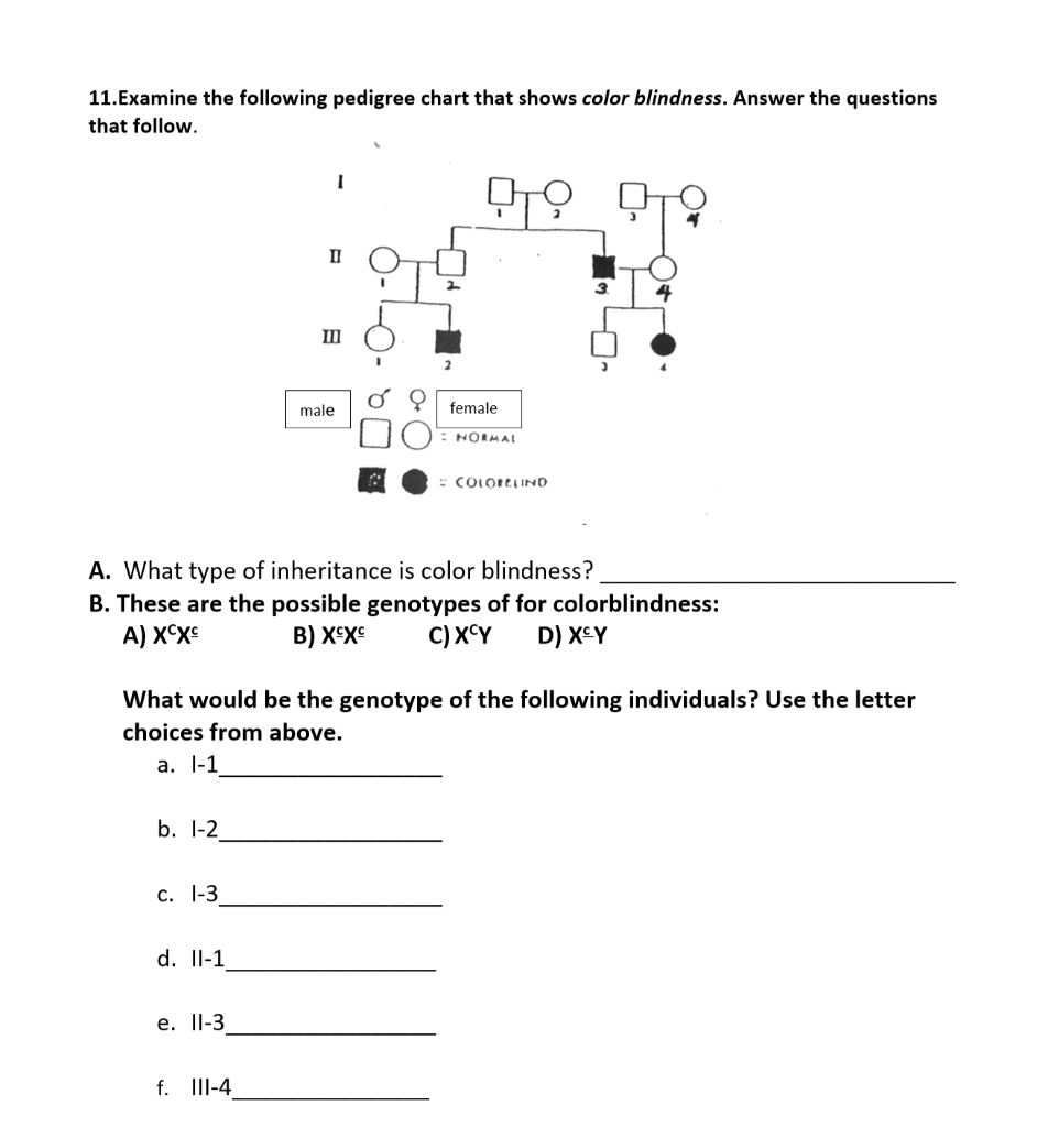 Solved Genetics Problems You may type your answers and | Chegg.com