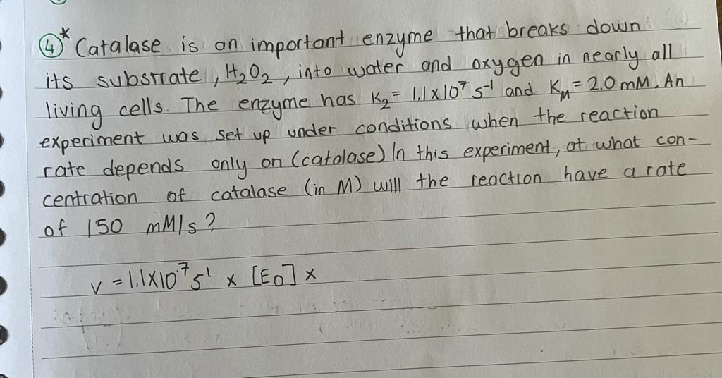 Solved (4) Catalase is an important enzyme that breaks down | Chegg.com