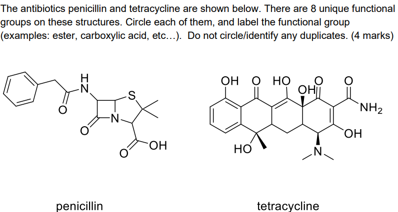 Solved The antibiotics penicillin and tetracycline are shown | Chegg.com
