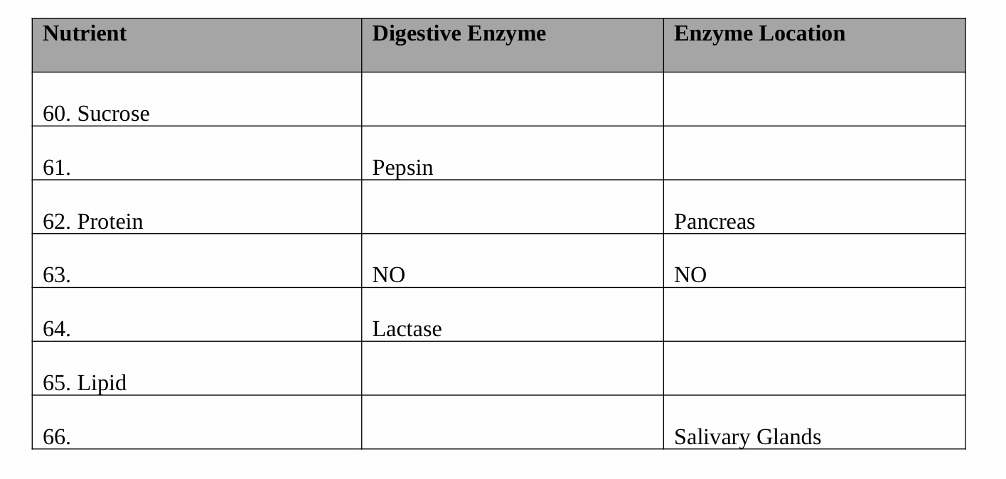 Solved Nutrient Digestive Enzyme Enzyme Location 60. Sucrose | Chegg.com