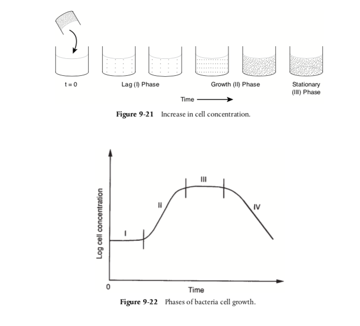 Solved பேப்ப Lag (l) Phase| Growth (II) Phase Stationary | Chegg.com