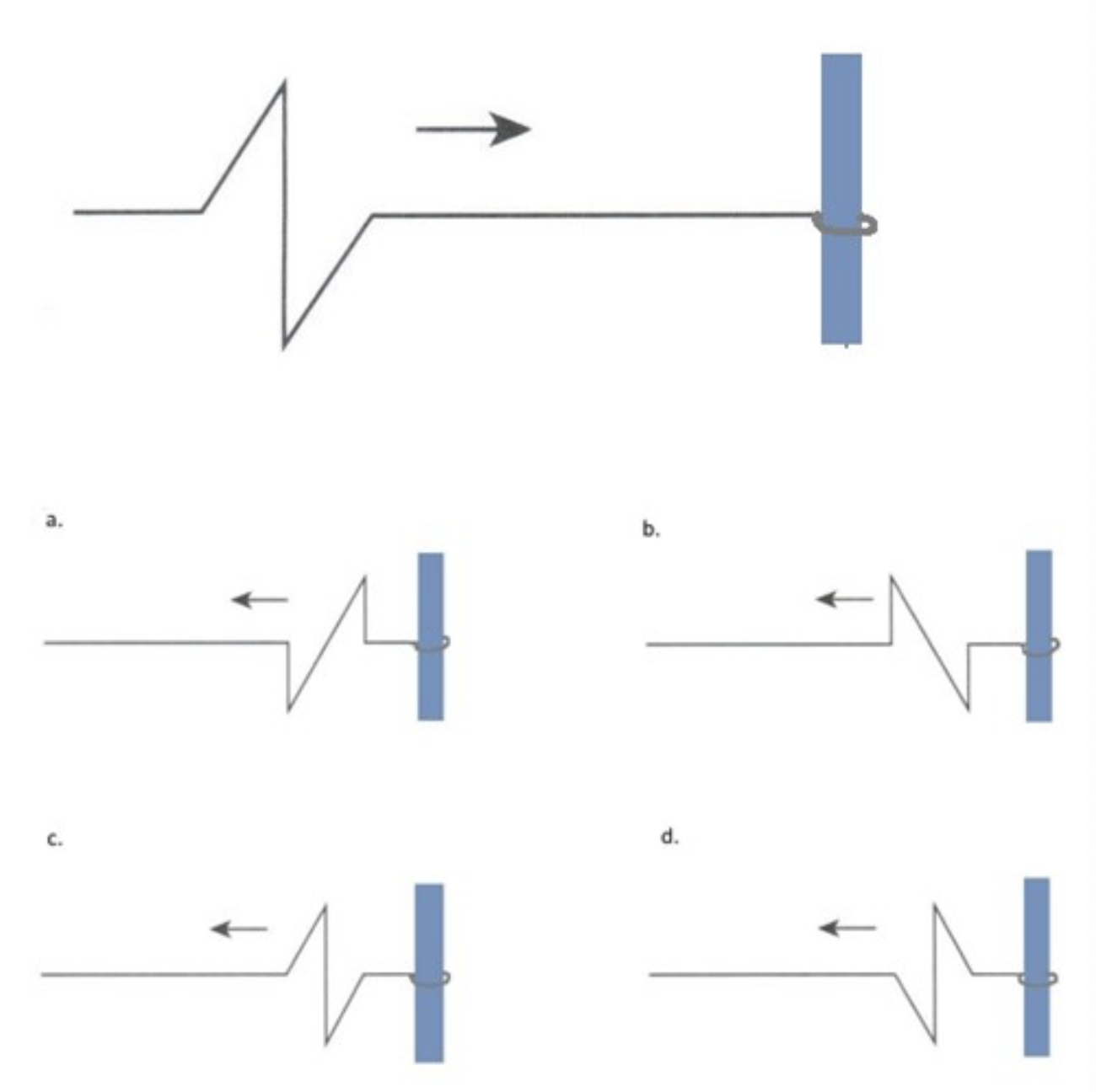 Solved A pulse is sent along a string towards a loose end as | Chegg.com