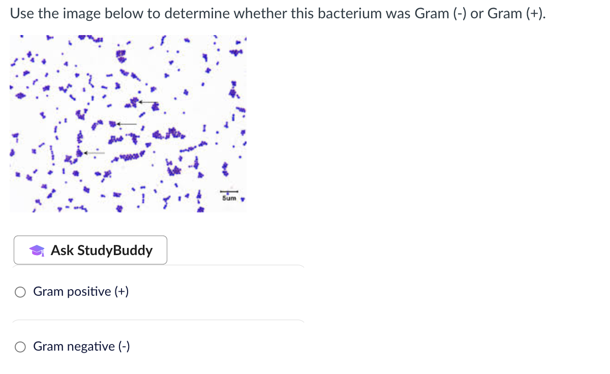 Solved Need done ASAP. Please help ASAP. Thank you in | Chegg.com