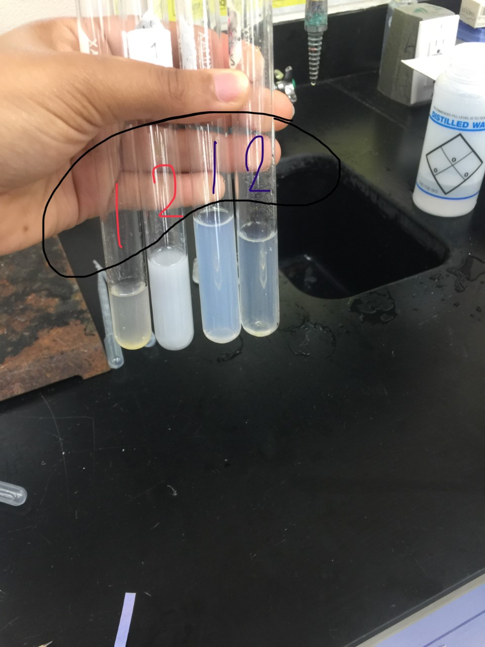 Solved I need help answering the questions down below. I | Chegg.com