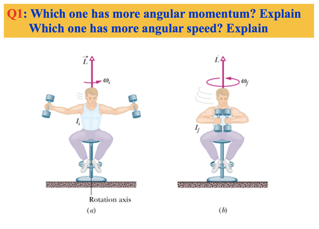 Solved : Which one has more angular momentum? Explain Which | Chegg.com